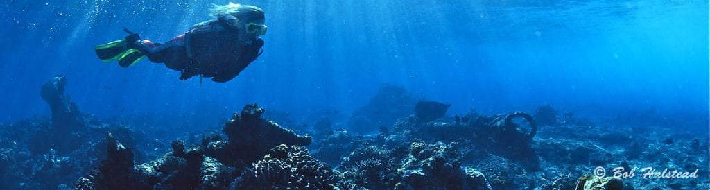 Diving the Wreck of the Sun on Ashmore Reef, PNG