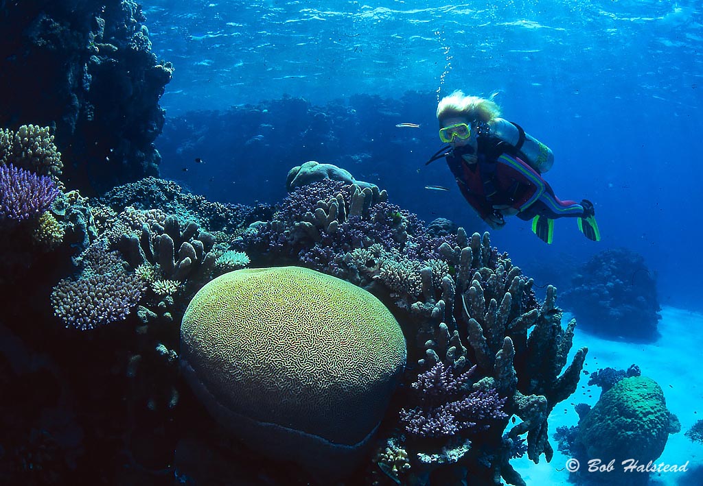 Diving the Wreck of the Sun on Ashmore Reef, PNG