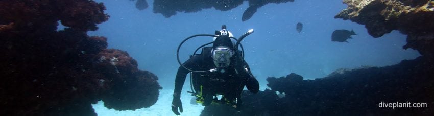 Diving outside the Reef: The Arch and Erskine Valley, Lord Howe Island