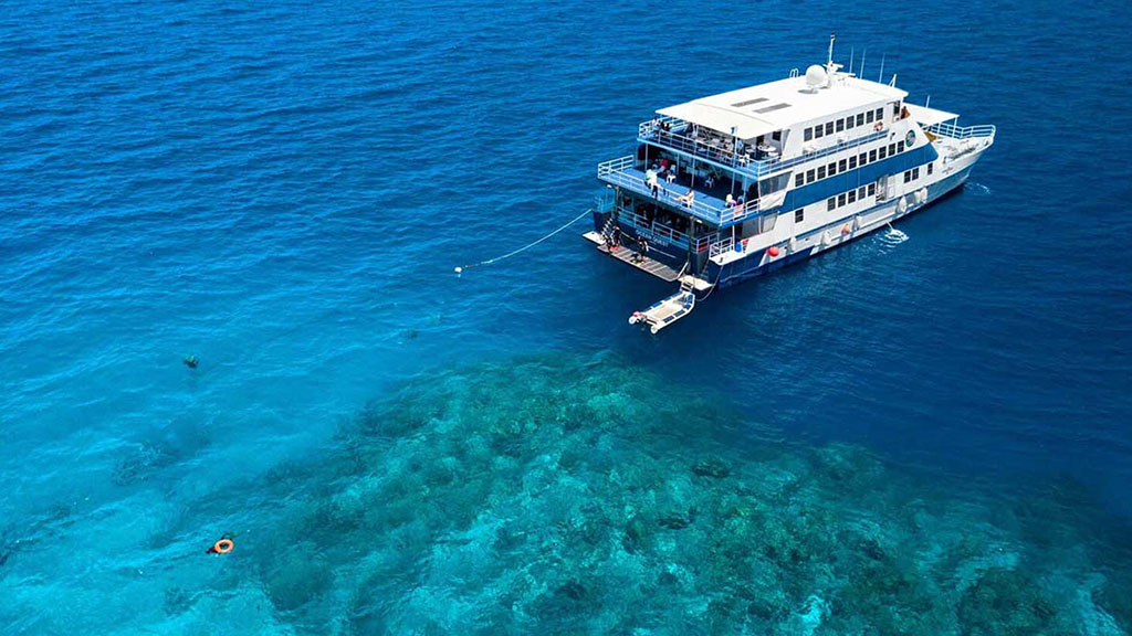 OceanQuest Deep Sea Divers Den Liveaboard Cairns OceanQuest Deep Sea Divers Den Liveaboard Cairns
