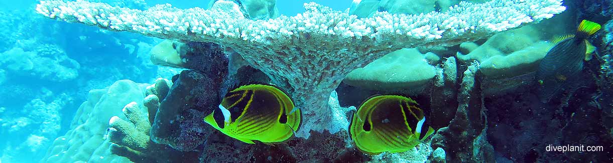 Flying Fish Cove Christmas Island in Australia’s Indian Ocean
