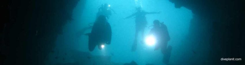 Diving Fish Rock Cave at South West Rocks