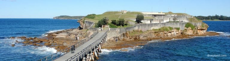 Bare Island dive site, La Perouse, Botany Bay, Sydney, NSW