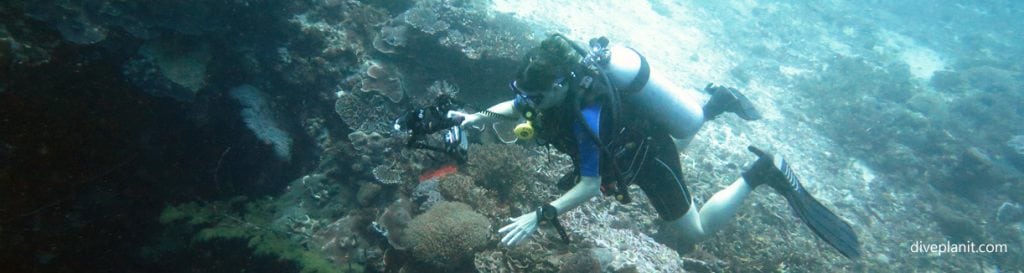 Twin Tunnels Dive Site, Tulagi, Solomon Islands
