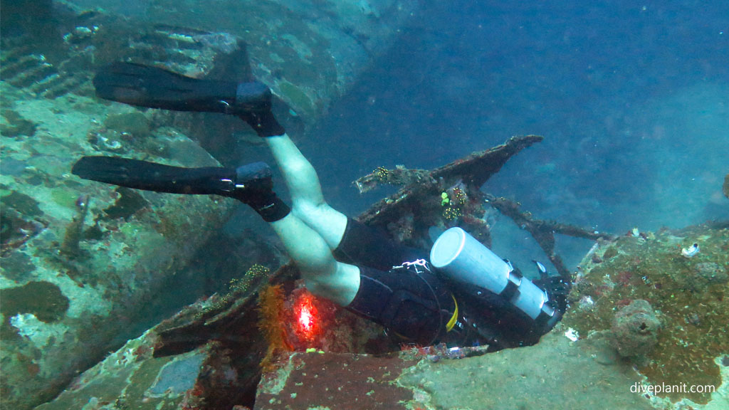 Divers Alert Network (DAN) and why you should be a member