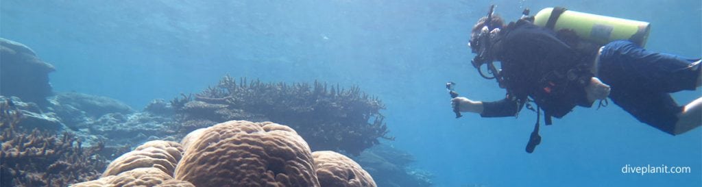 Fagatele Bay Marine Sanctuary, Tutuila, American Samoa