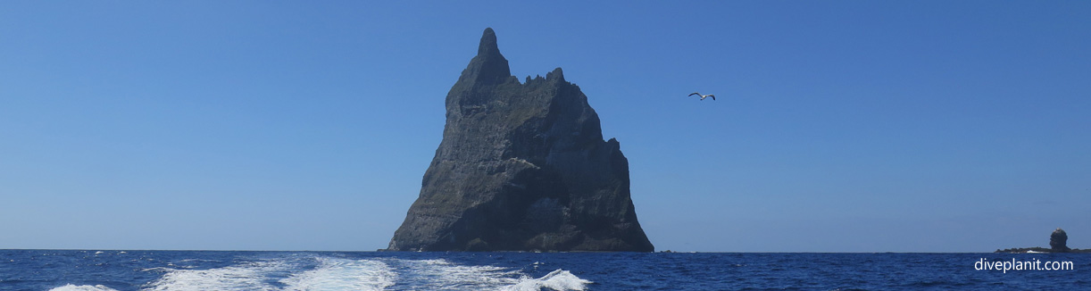 Ball’s Pyramid Lord Howe Island Dive Site NSW Australia