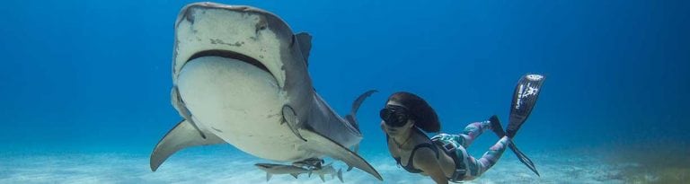 Why Shark Girl Madison Stewart does not have “hope” for our oceans