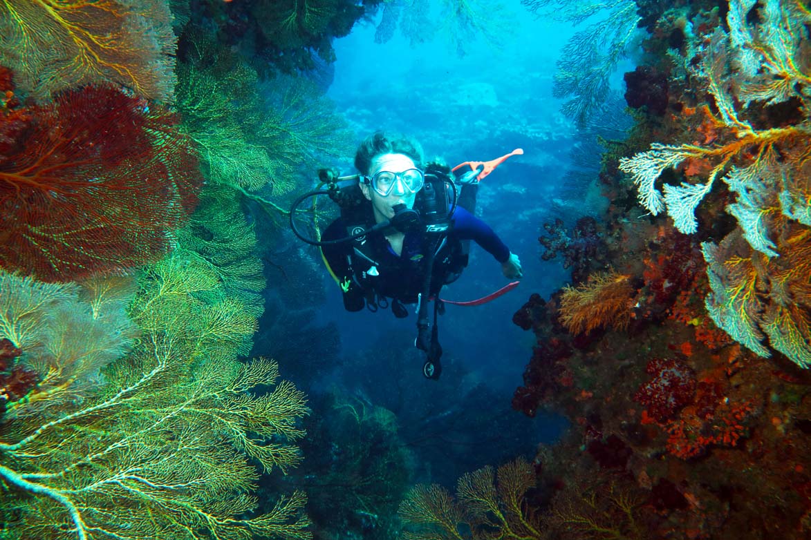 Beqa Lagoon Resort Dive Centre, Beqa Island, Fiji Islands Beqa Lagoon Resort Dive Centre, Beqa Island, Fiji Islands