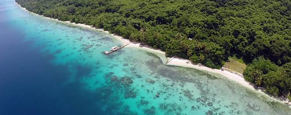 Tranquility Island Eco Resort – the best place to see turtles in Vanuatu