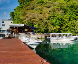 Turtle Cove in Palau
