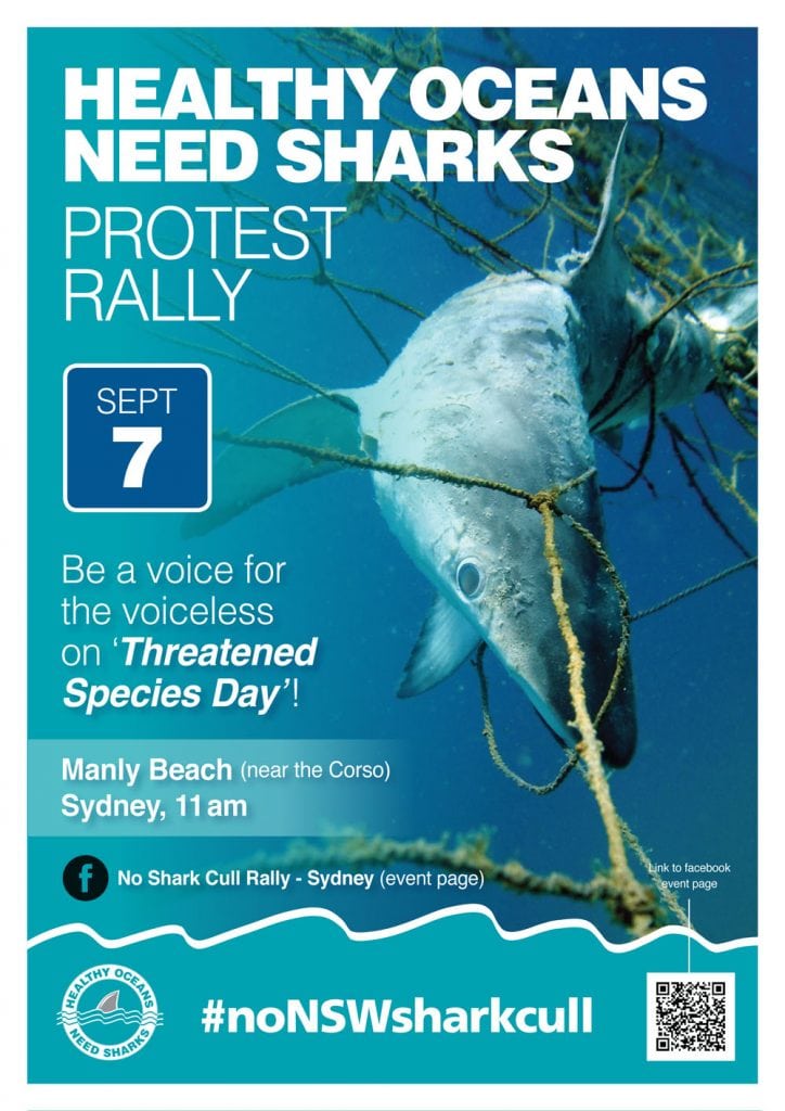 Some facts about shark nets