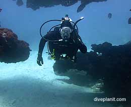 Diving outside the Reef: The Arch and Erskine Valley, Lord Howe Island