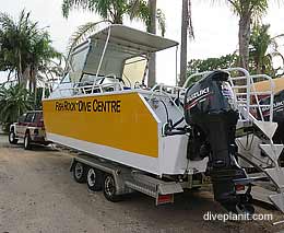 Diving Fish Rock with Fish Rock Dive Centre