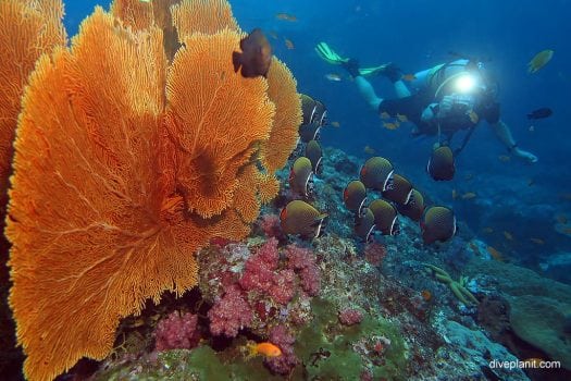 Simon Mallender of Diveplanit explains his SCUBA camera rig