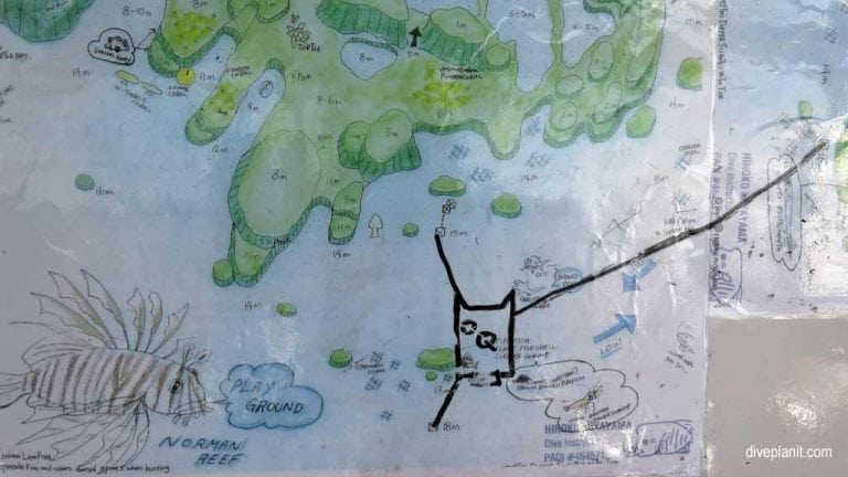 Playground Norman Reef dive site on the Great Barrier Reef