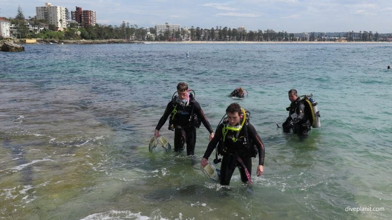 manly scuba diving sydney with Dive Centre Manly