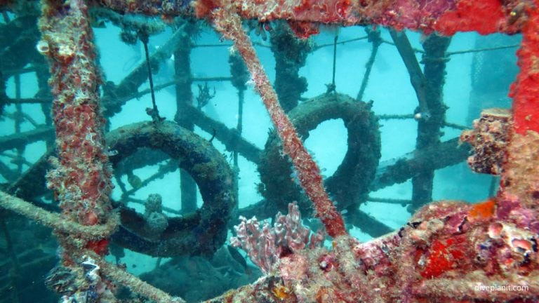 Kapalai House Reef Mabul diving Borneo Malaysia