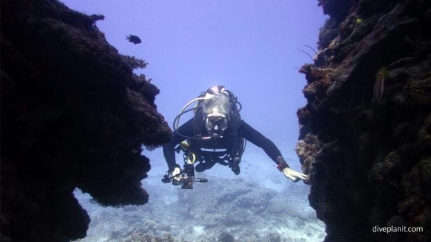 Vomo Island Resort: the emerging trend of luxury diving.