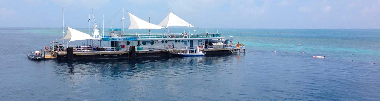 Reefsleep - the great Great Barrier Reef sleepover