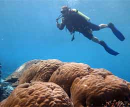 American Samoa Scuba Diving Resorts & Liveaboards | Diving Samoa