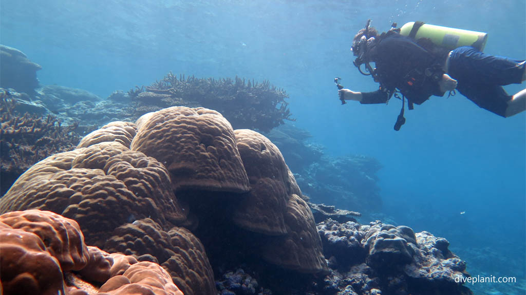 What’s so good about diving American Samoa? Marine Sanctuaries