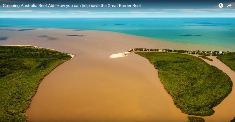 Can Reef Aid save the Great Barrier Reef?