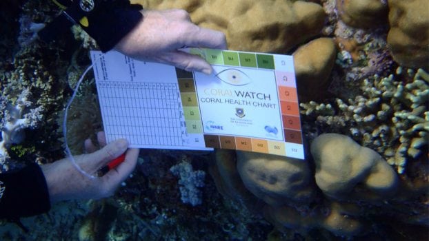 CoralWatch: a coral bleaching citizen science initiative