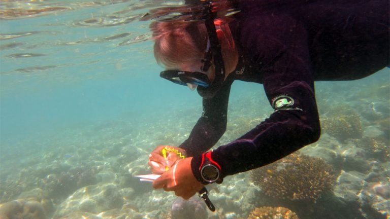 CoralWatch: an easy-to-do citizen science coral reef survey