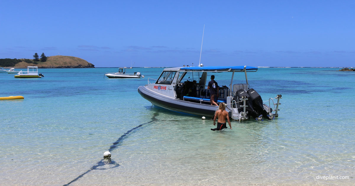 Dive Lord Howe Dive Centre NSW Australia