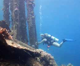 White Beach dive site, Russell Islands, Solomon Islands