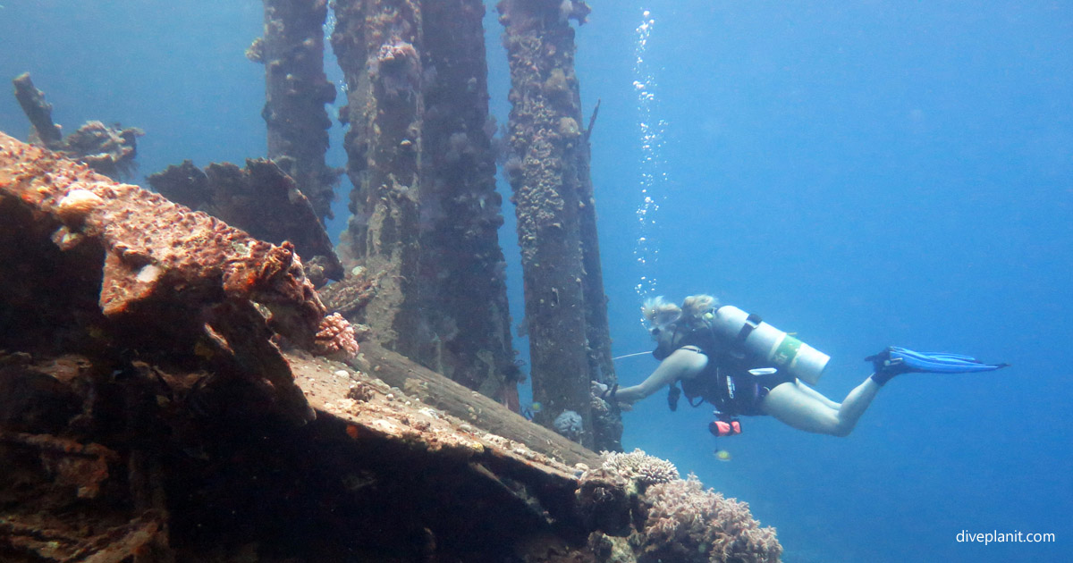 White Beach dive site, Russell Islands, Solomon Islands