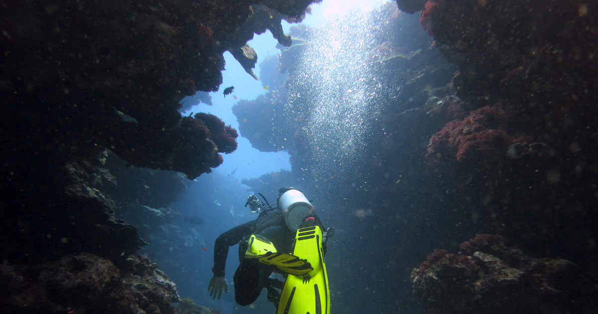 Diving outside the Reef: The Arch and Erskine Valley, Lord Howe Island
