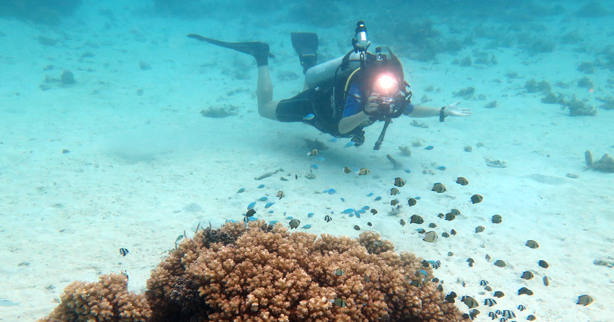 Omission of a pre-dive buoyancy check when scuba diving