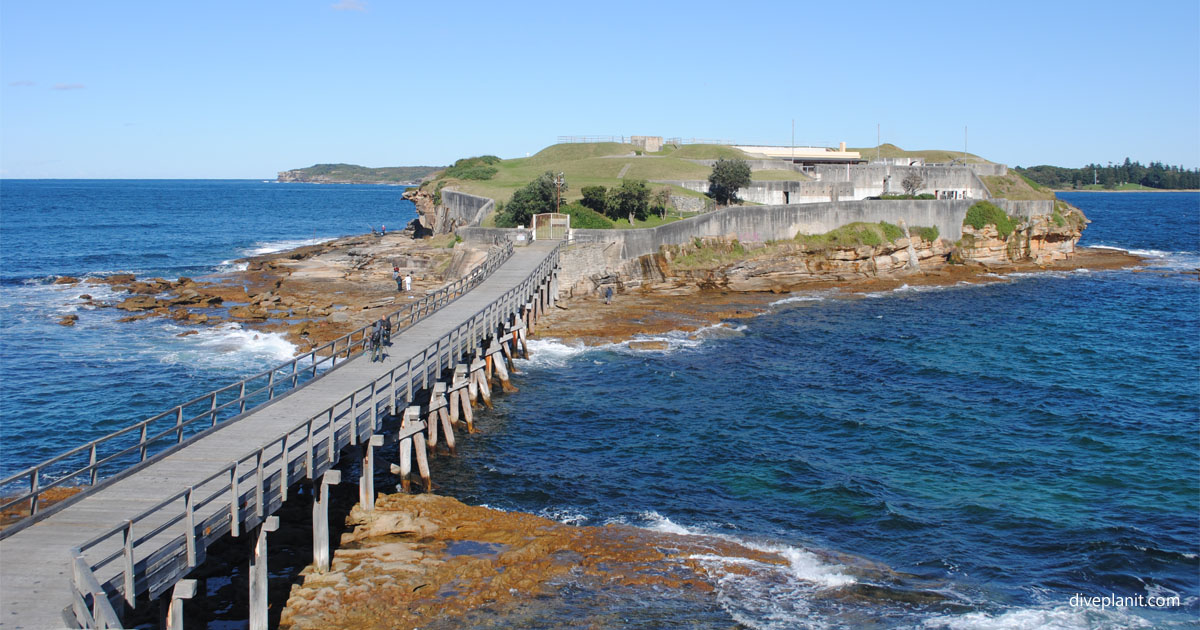 Bare Island dive site, La Perouse, Botany Bay, Sydney, NSW
