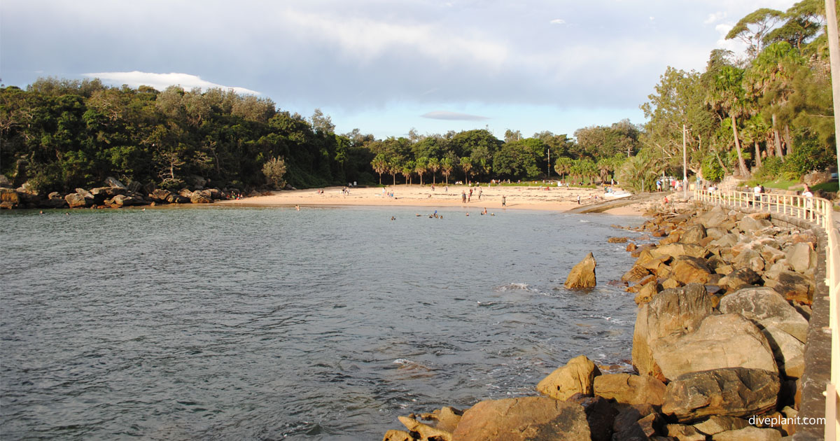 Shelly Beach dive site, Manly, Sydney, NSW