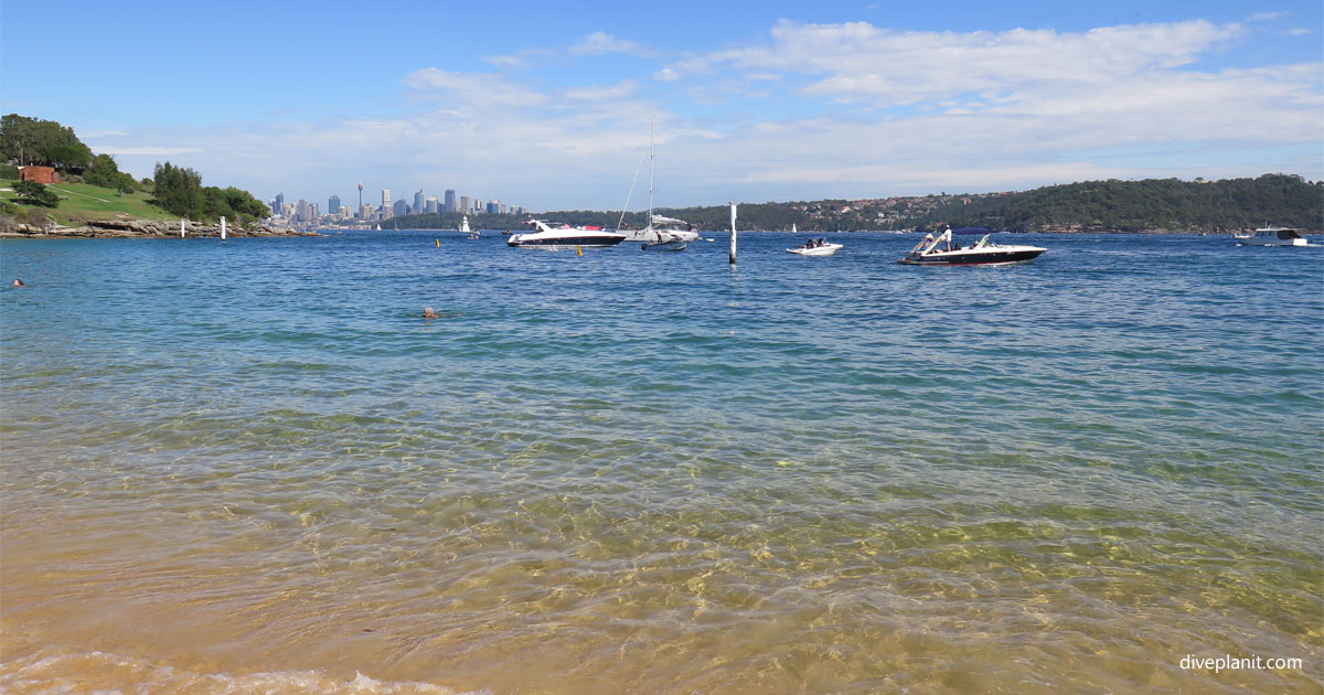Camp Cove dive site, south Sydney, NSW