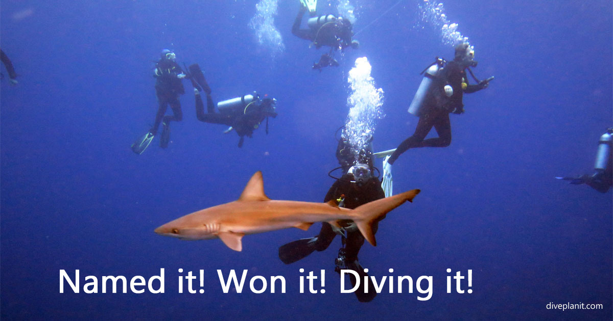 We have a winner – Dive Week Holiday for Two on Lord Howe Island