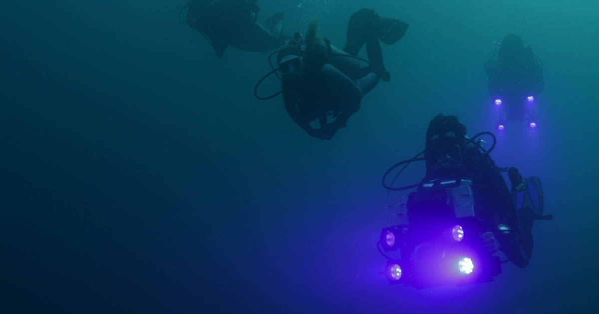 Klaus Obermeyer searches for the Biofluorescent turtle in Munda