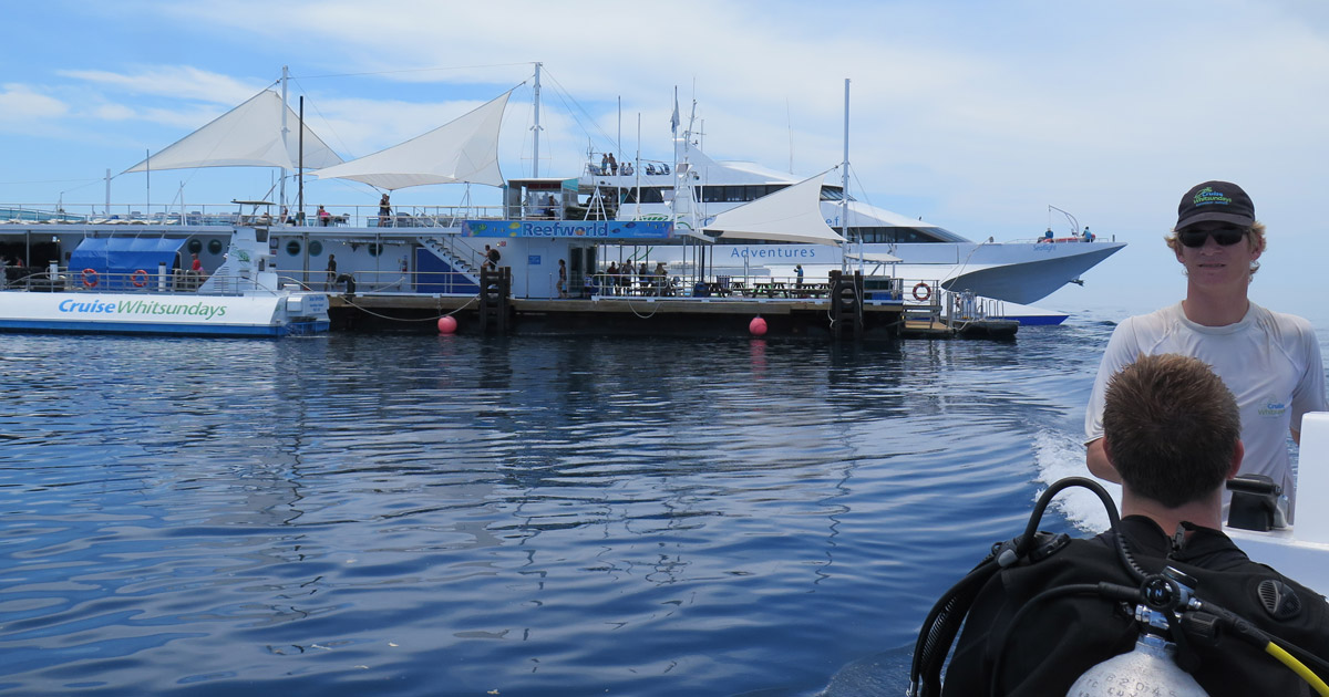 Reefsleep - the great Great Barrier Reef sleepover