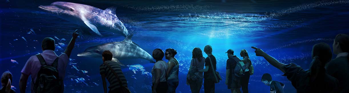 National Geographic Ocean Odyssey opens in New York City