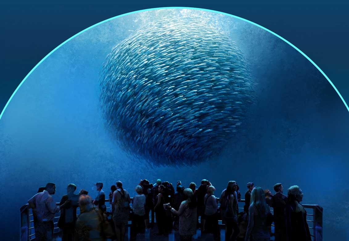National Geographic Ocean Odyssey opens in New York City