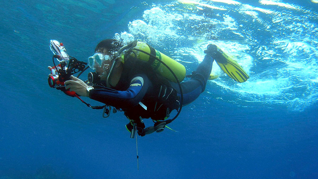 B&J Diving on Tioman Island – PADI 5 Star IDC Dive Resort