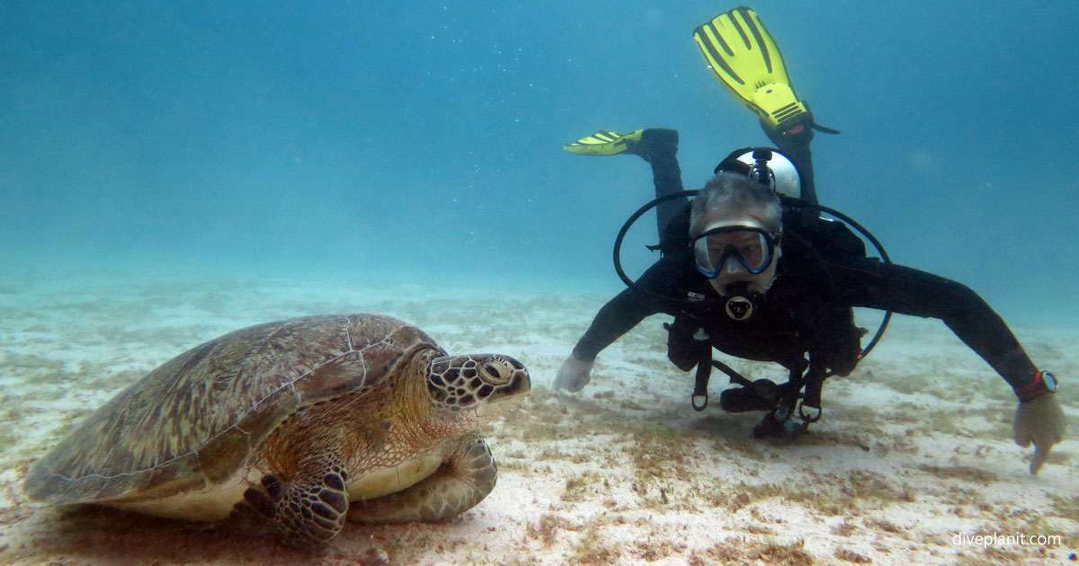 Siaba Besar dive site Komodo diving Flores Indonesia