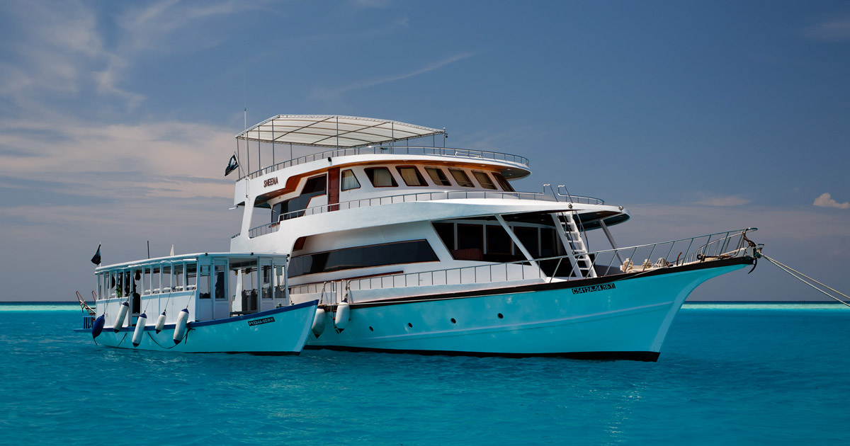 Liveaboards - Tailored Liveaboard Diving Holidays around the world