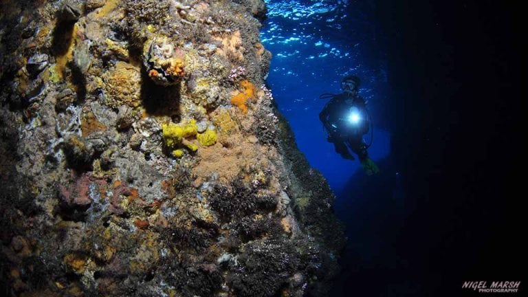 Gato Island Cave dive site is a 30m long cave near Malapascua
