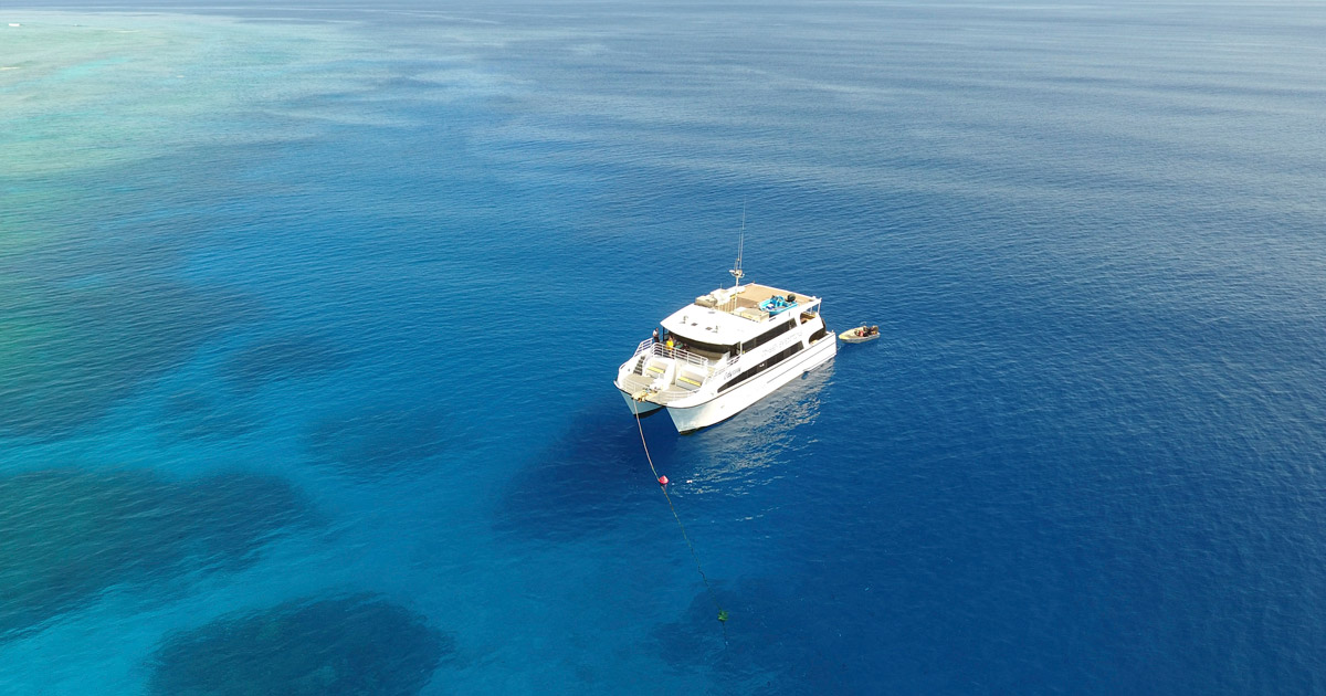 Odyssey Rowley Shoals | Dive Rowley Shoals with Odyssey Expeditions