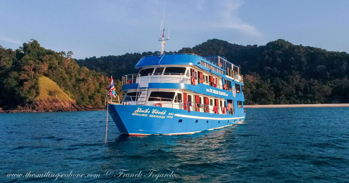 Dive Thailand and Myanmar aboard MV Smiling Seahorse Liveaboard
