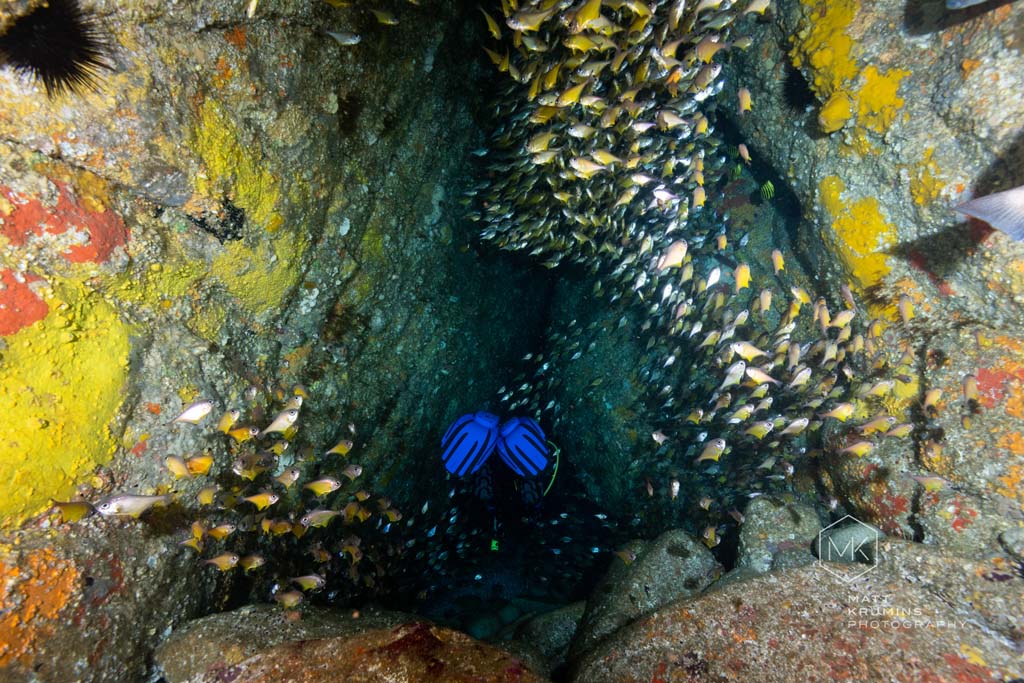 Fish Rock Cave and grey nurse sharks, South West Rocks, Northern NSW