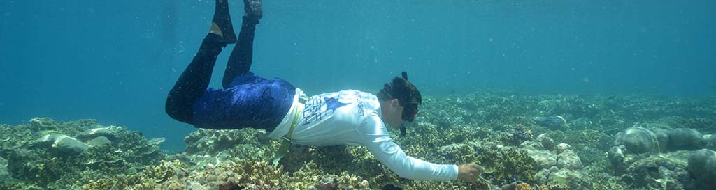 Great Barrier Reef guide - Tropical North Queensland Locals Chatbot